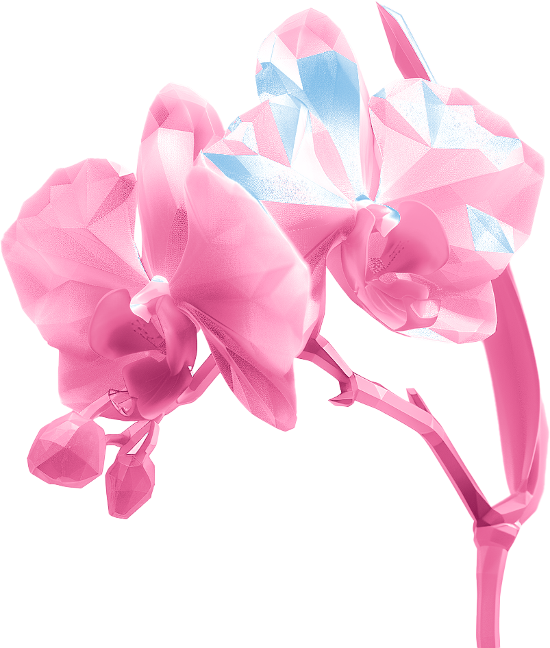 CIM Bank | Swiss Private and Corporate Banking Since 1990 · CIM Banque